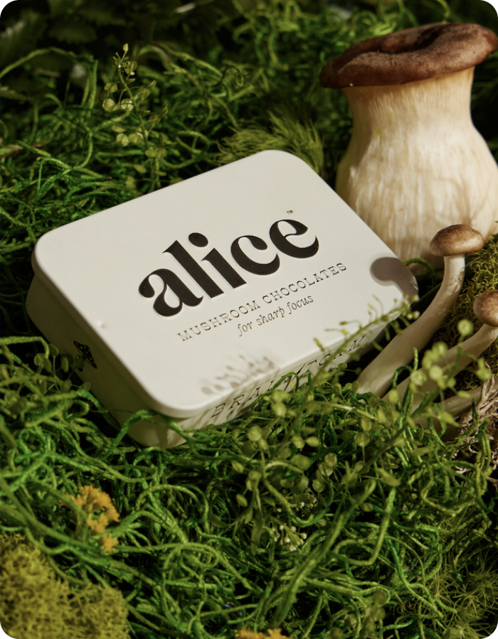 Why We Use Functional Mushrooms for Wellbeing | Alice Mushrooms