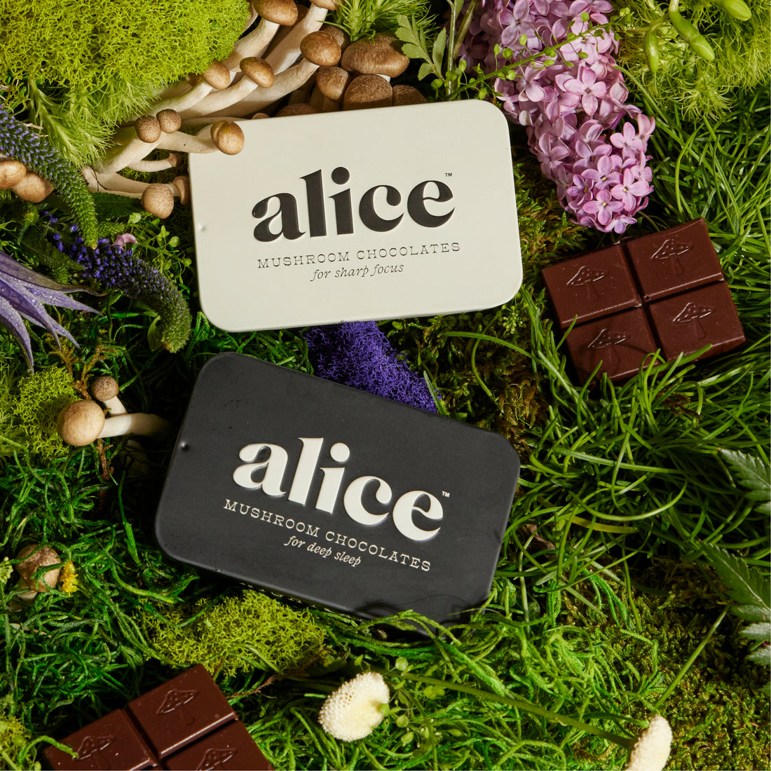 Mushroom Chocolates for Energetic Days & Restful Nights | Alice Mushrooms