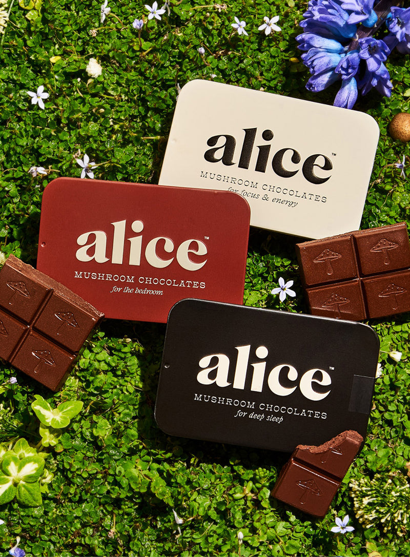 Mushroom Chocolates for Mind, Body & Soul | Alice Mushrooms – alice ...